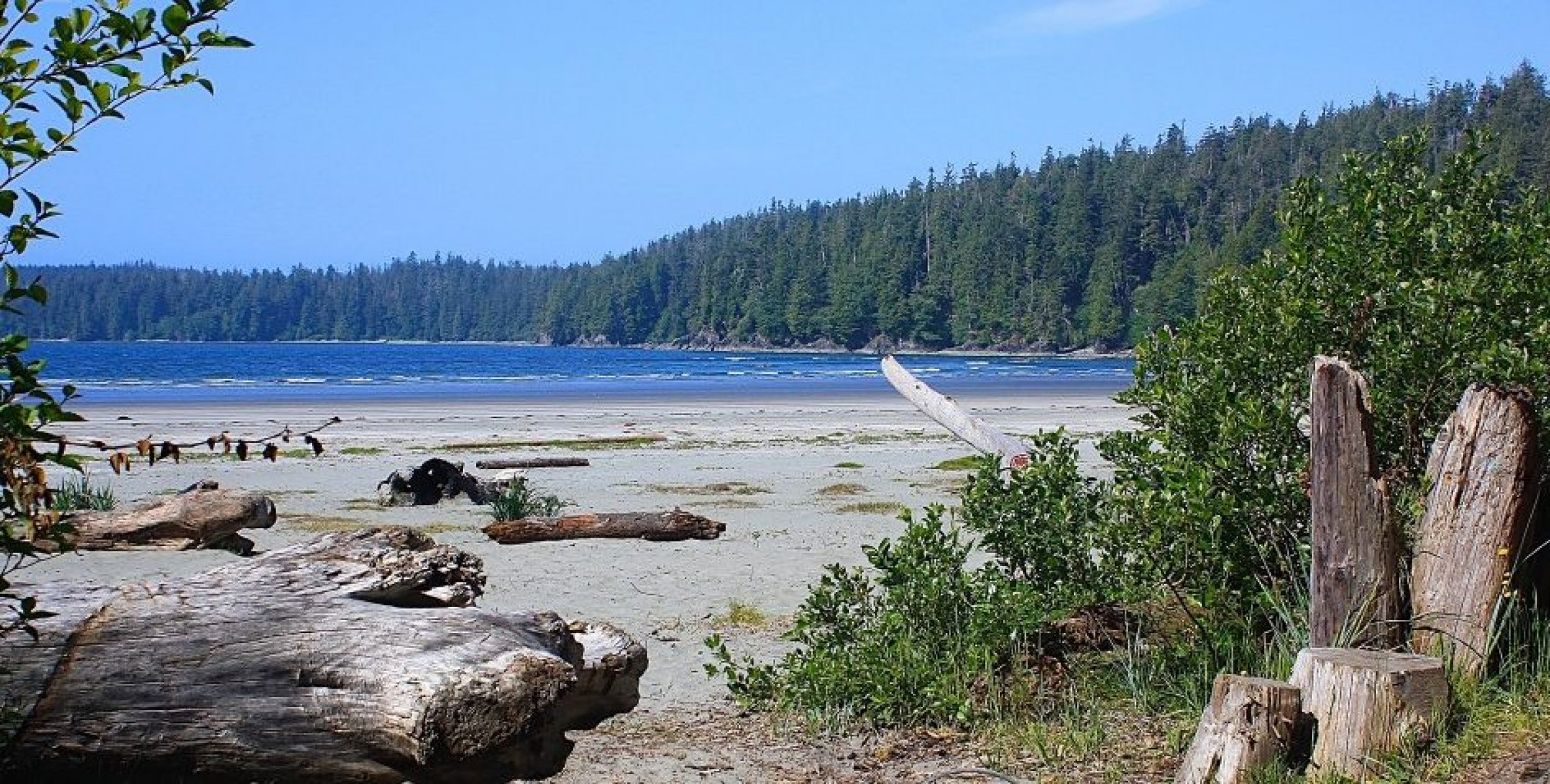 Pachena Bay & Bamfield | Pachena Bay Campground