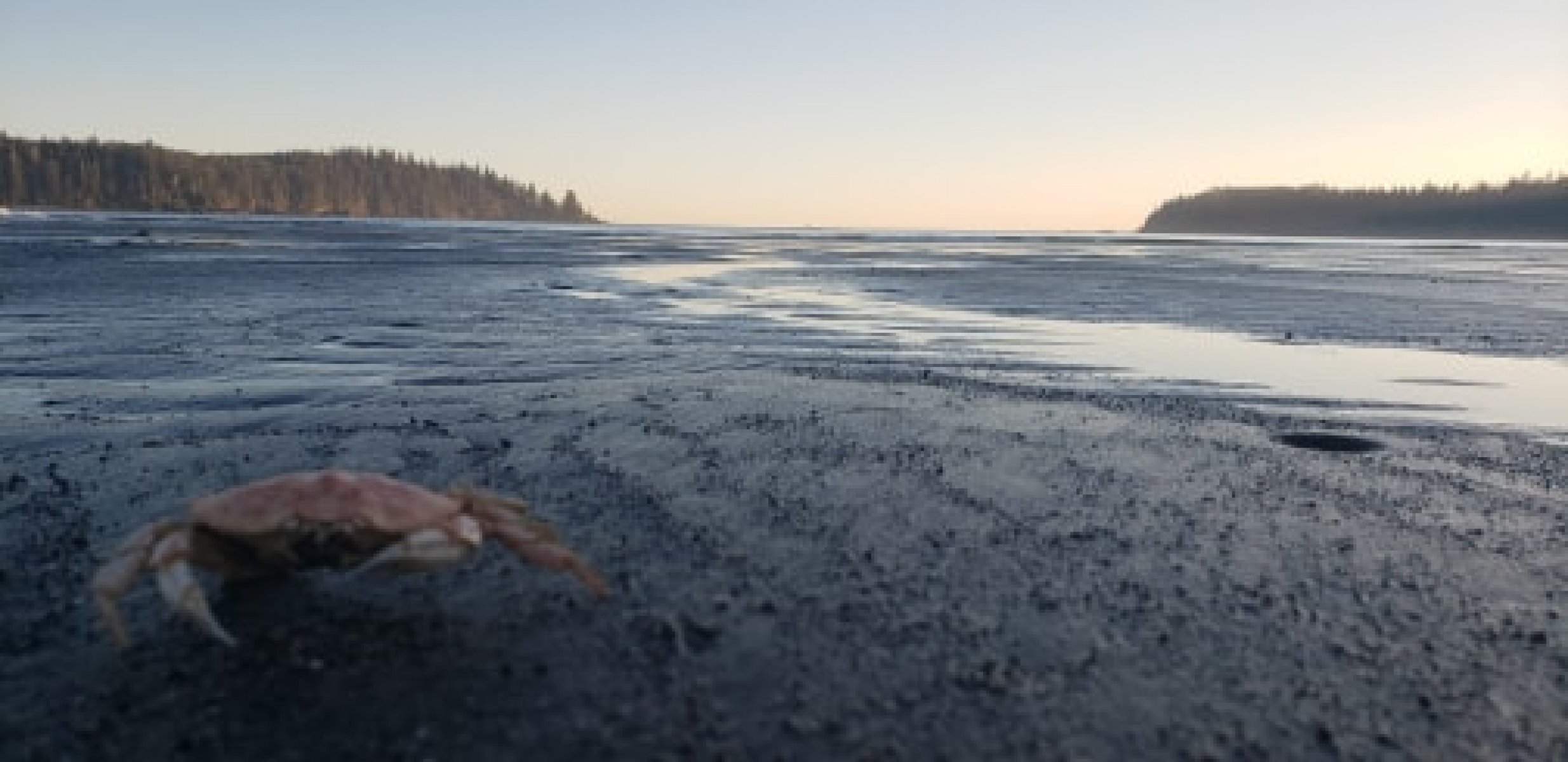 Pachena Bay & Bamfield | Pachena Bay Campground